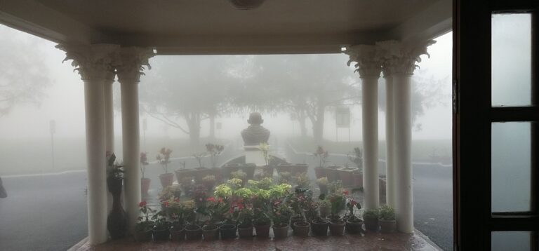 Marian College Kuttikkanam (Autonomous) | Gallery