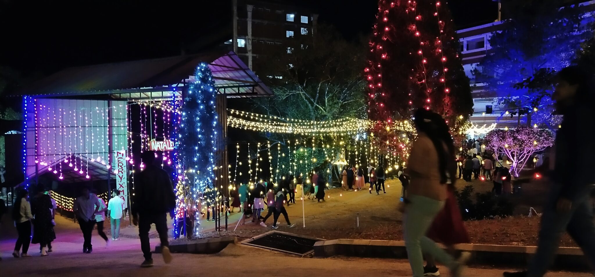 Marian College Kuttikkanam (Autonomous) | Gallery